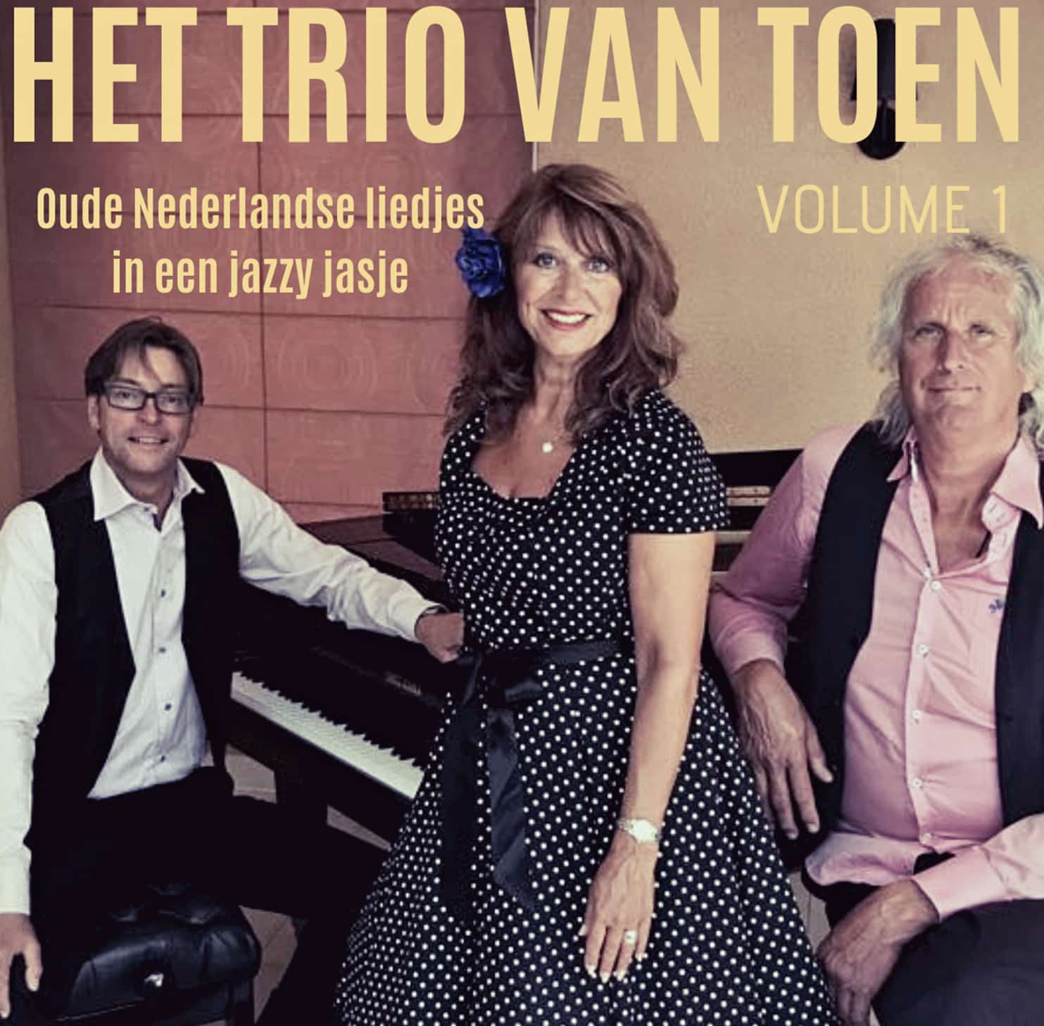 CD - Het Trio van Toen